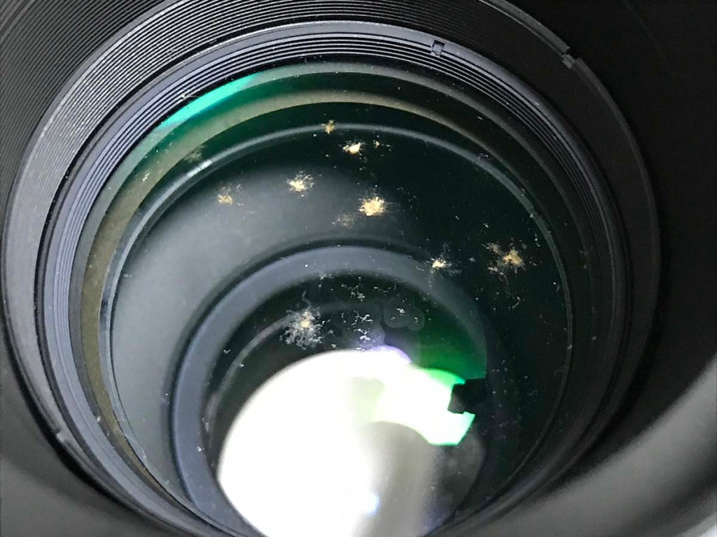 Repair: Fungus Cleaning | Richard Haw's Classic Nikon Repair and Review