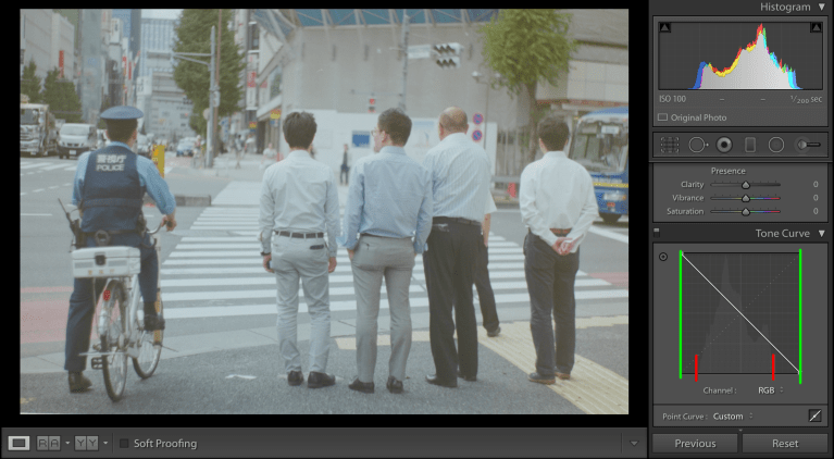 Negative Digitization with a Nikon DSLR | Richard Haw's Classic Nikon ...