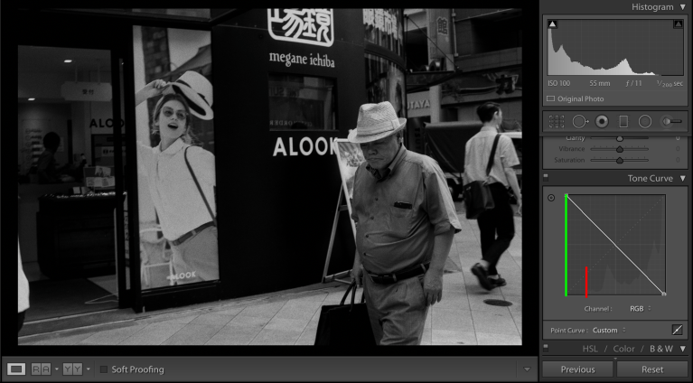Negative Digitization with a Nikon DSLR | Richard Haw's Classic Nikon ...