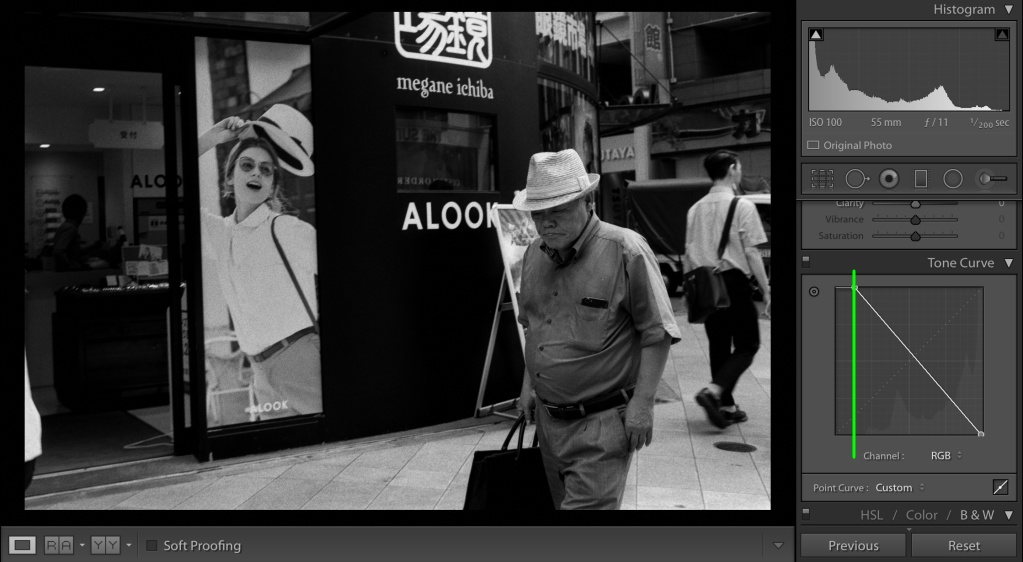 Negative Digitization with a Nikon DSLR | Richard Haw's Classic Nikon ...