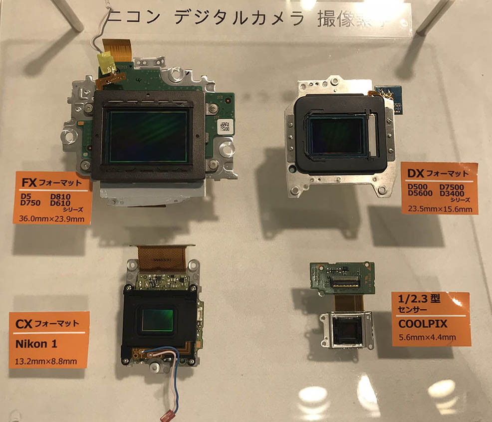 Report: Nikon Z | Richard Haw's Classic Nikon Repair and Review